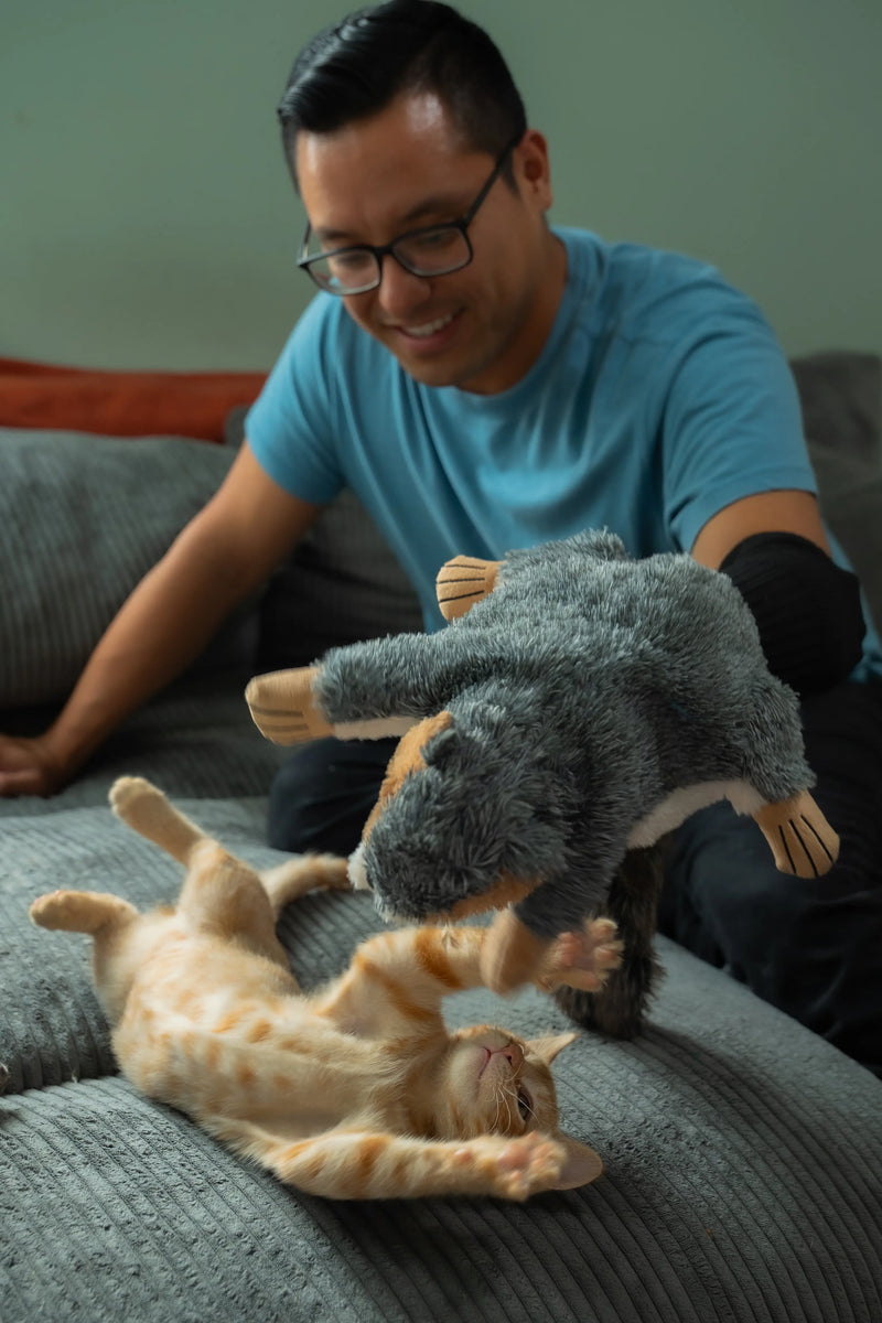 The Original Cat Wrestling Toy Glove and Puppet – How We Invented It ...